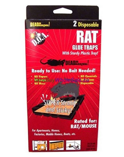 Buy D.o.a Disposable Glue Rat Trap 2 Pk Online in Cayman Islands - Shopright | Shopright